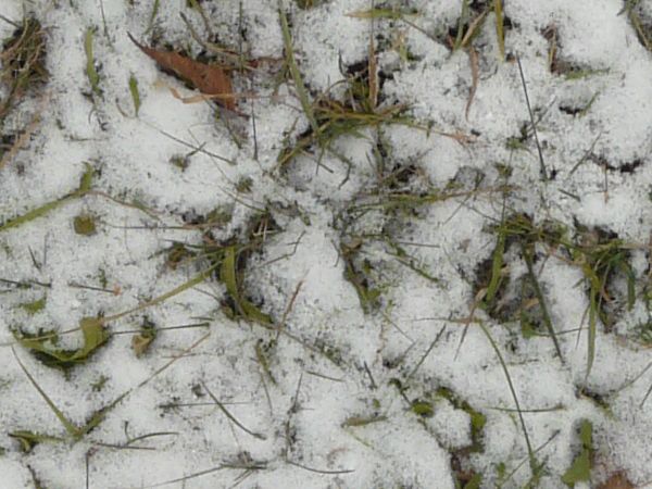 frozen ground texture 0037 - Texturelib